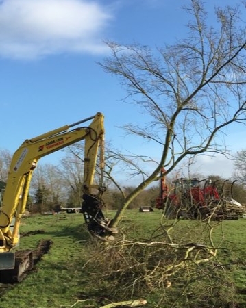 Tree Shear | Mark Vigrass Ltd.